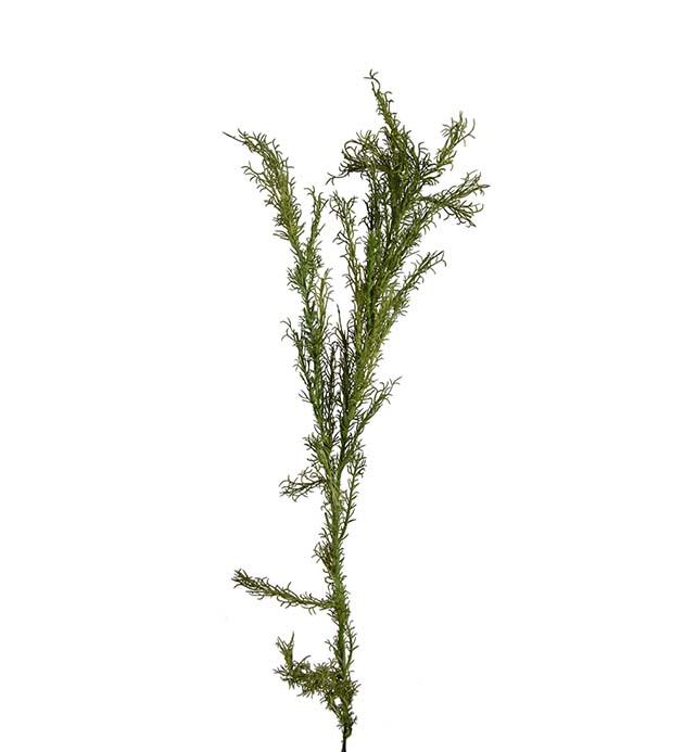 2587-02, Kvist 90 cm | Mr Plant